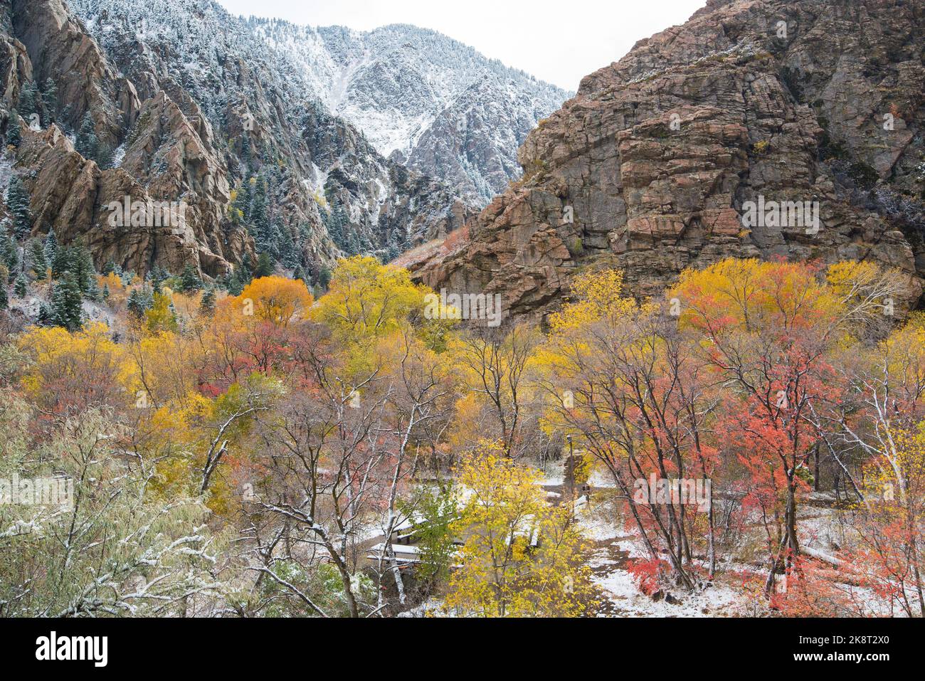 Soft Autumn colors with newly fallen snow. The transition from late ...