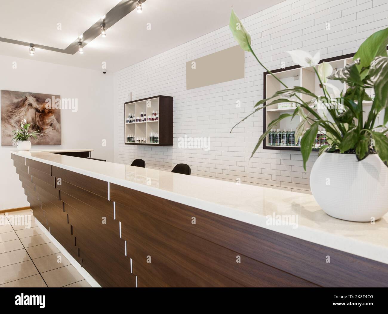A modern interior design of a luxury Spa salon reception in Tashkent ...