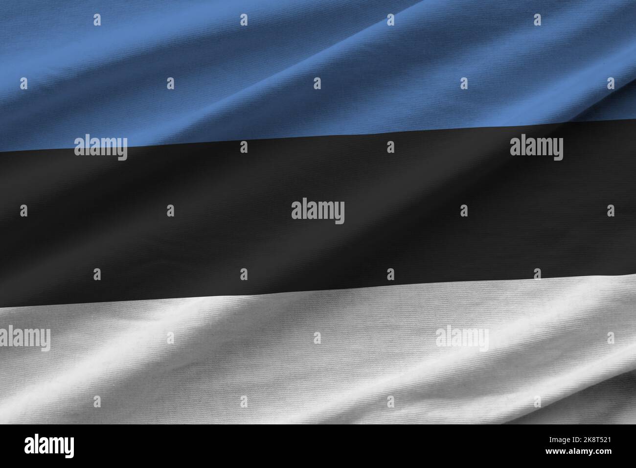 Estonia flag with big folds waving close up under the studio light ...