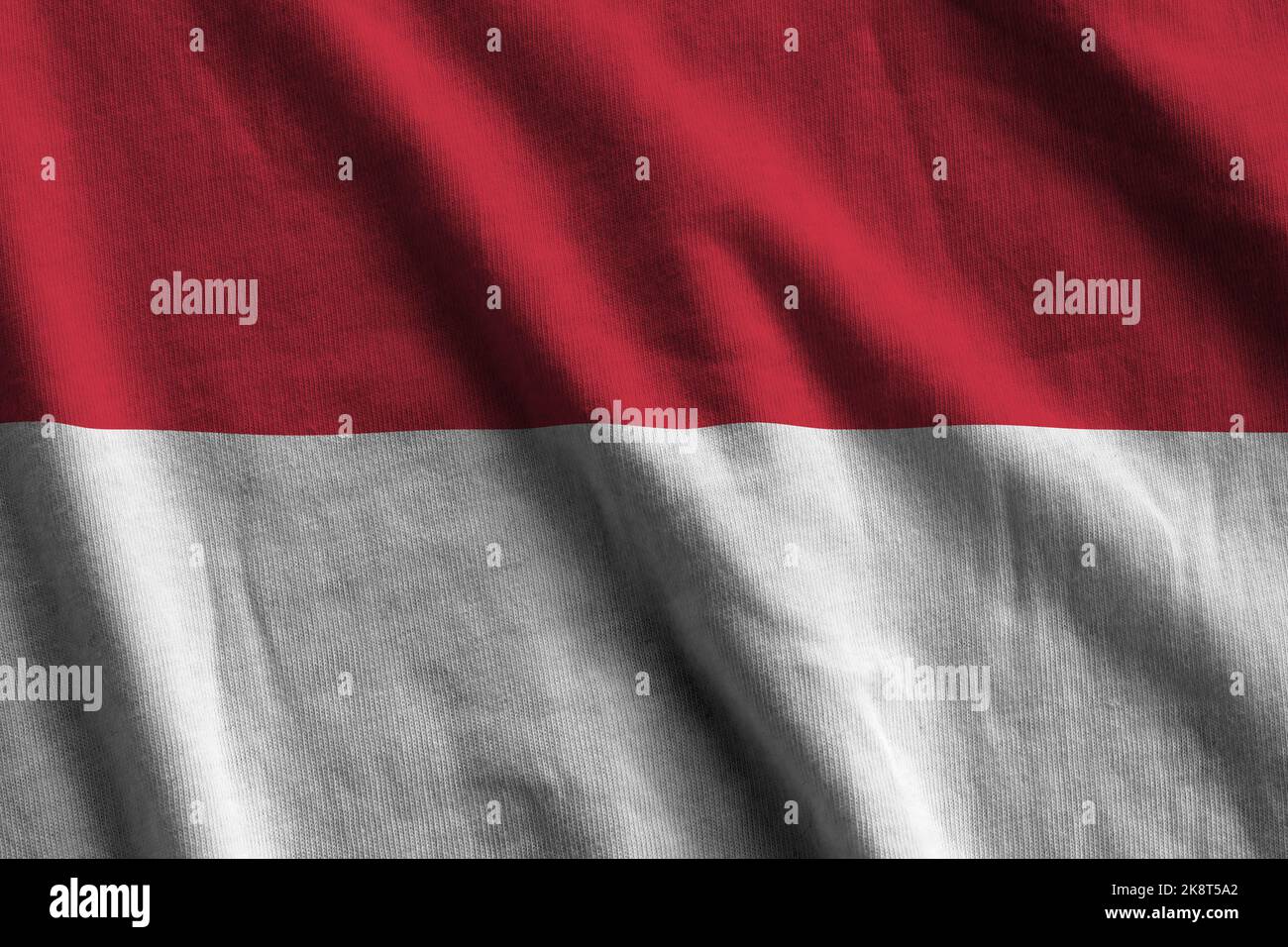 Monaco flag with big folds waving close up under the studio light ...