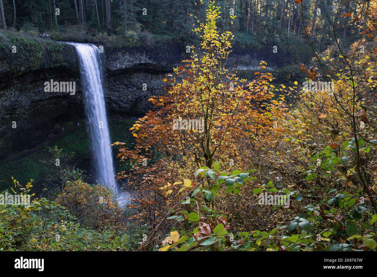 Latourell Falls in the Columbia River Gorge, Oregon Stock Photo - Alamy