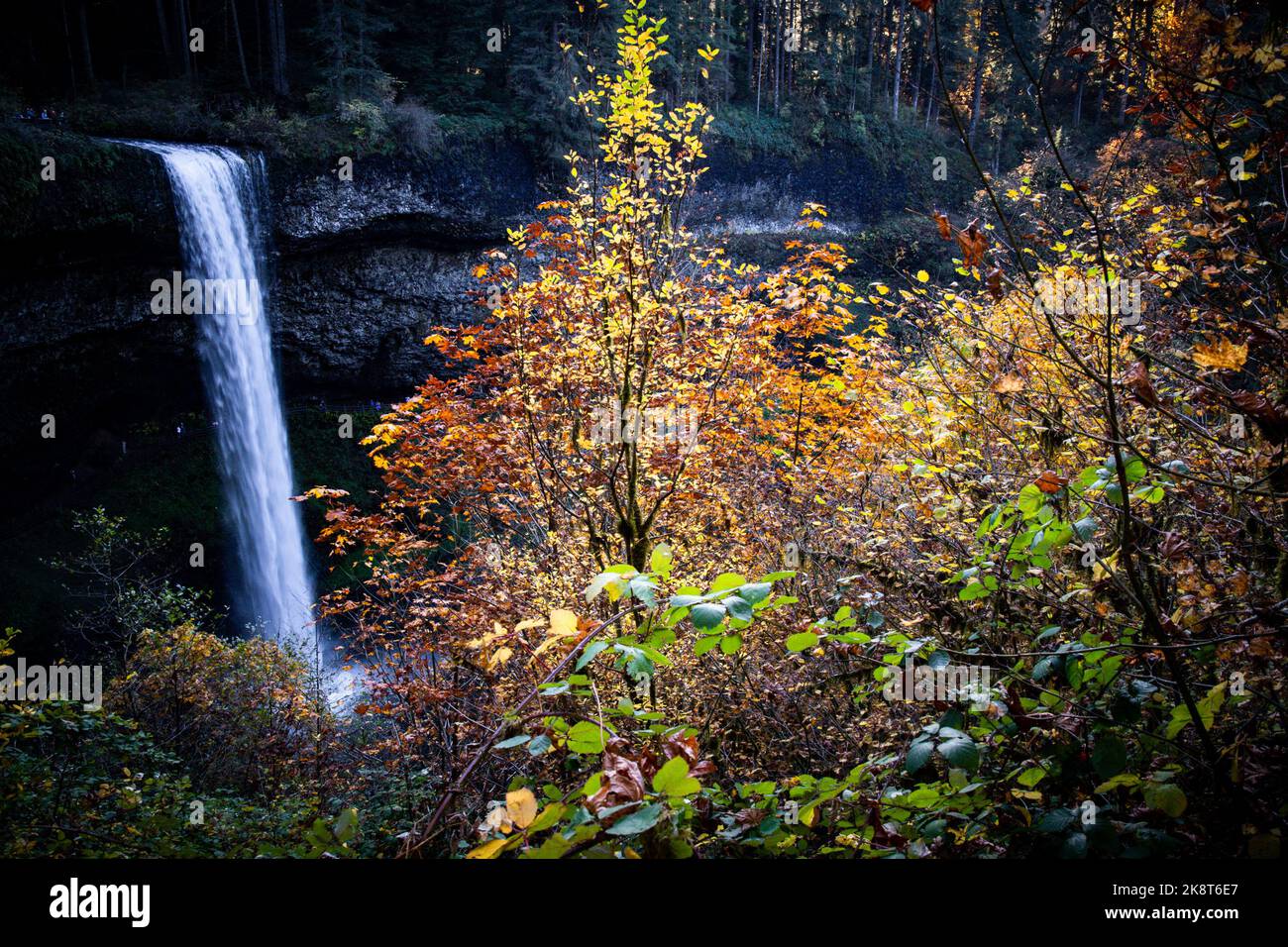 Latourell Falls in the Columbia River Gorge, Oregon Stock Photo - Alamy