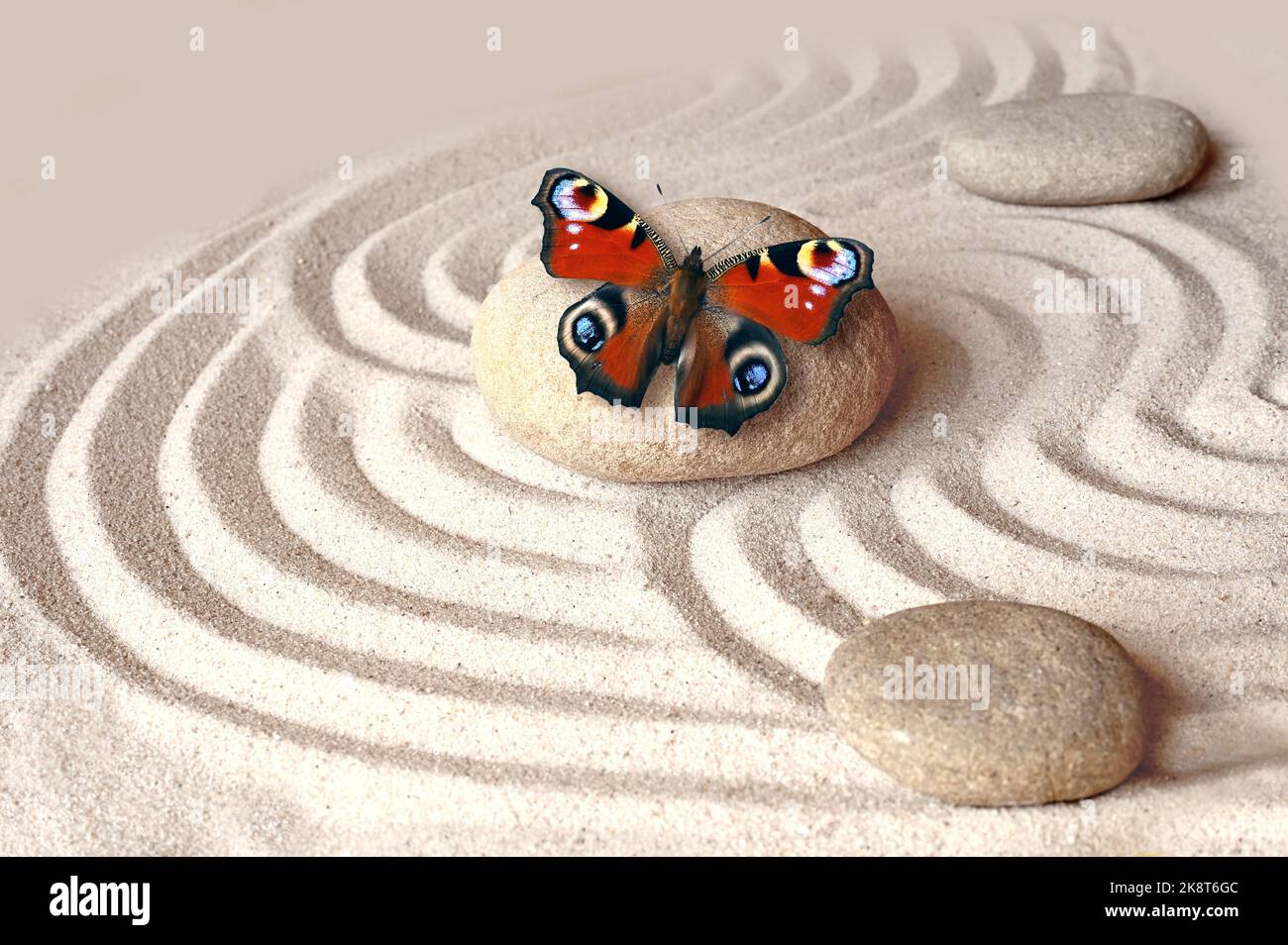 Balance in butterfly hi-res stock photography and images - Alamy