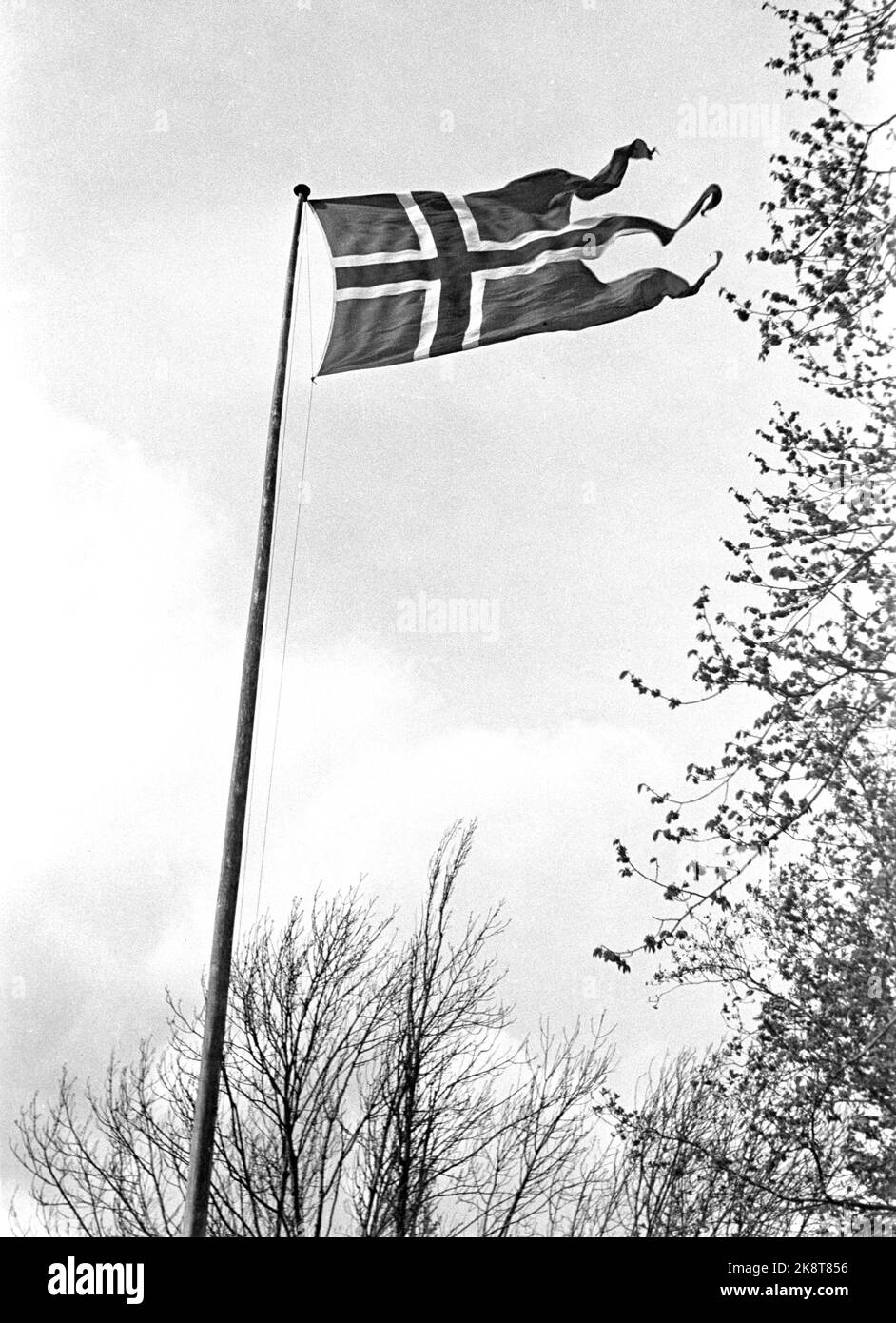 Johannes stage ntb resistance flag hi-res stock photography and images ...