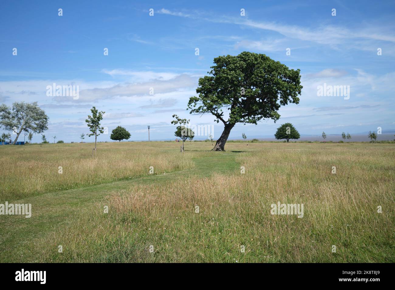 Top cliff hi-res stock photography and images - Alamy