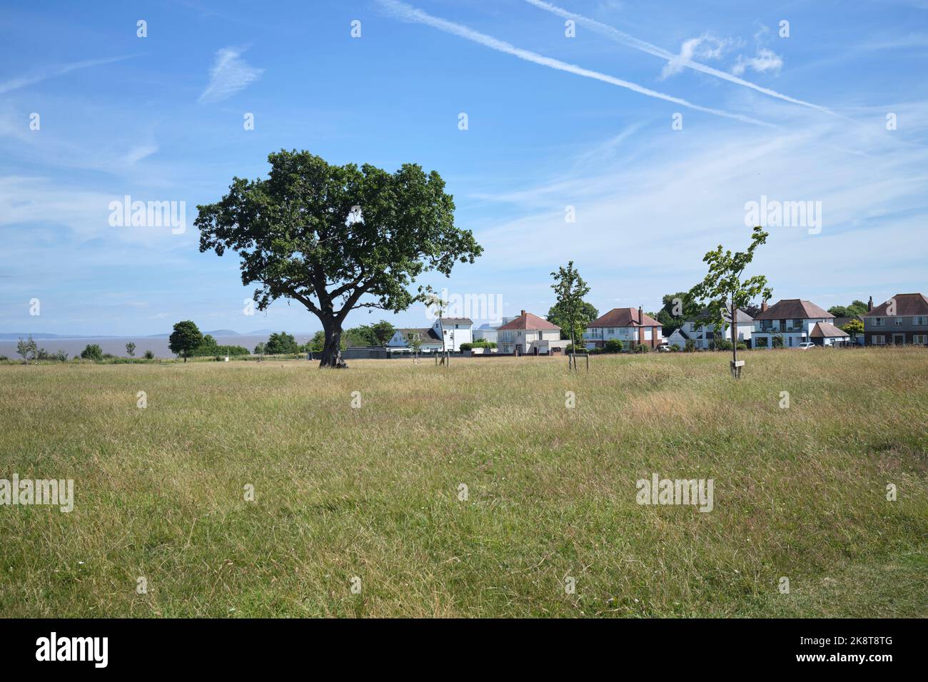 Cliff Top Park Penarth South Wales Stock Photo - Alamy