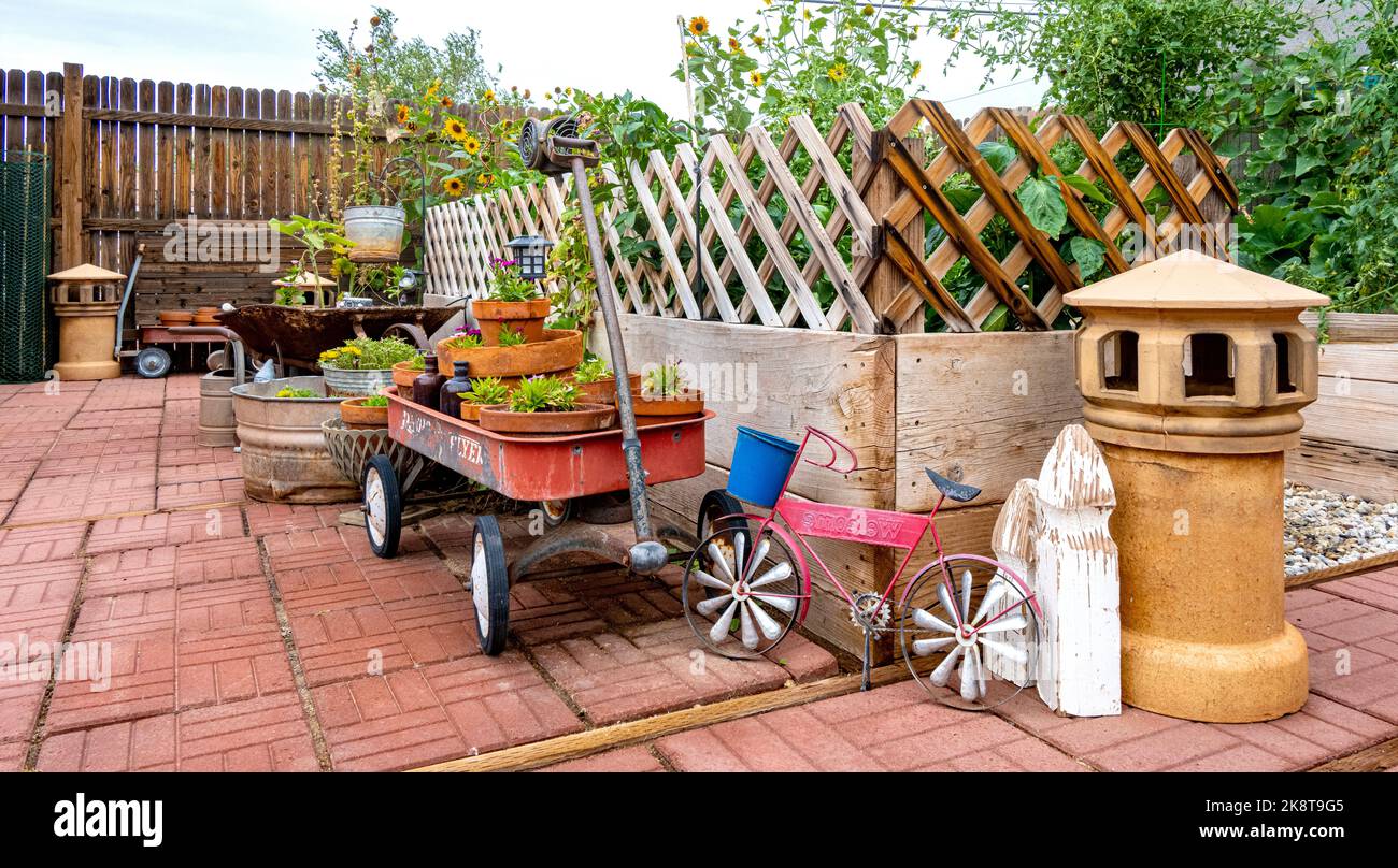 A cute backyard with green succulent plats on a planter and vintage ...