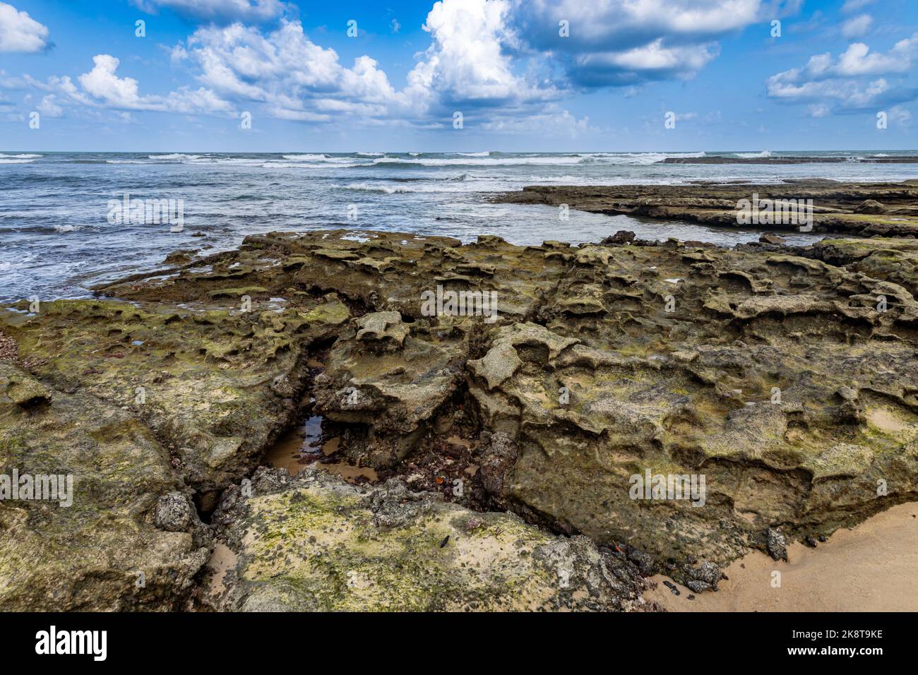 Coral reef coast of brazil hi-res stock photography and images - Alamy