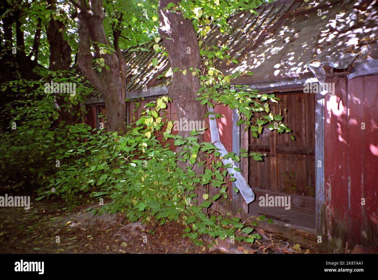 Oslo June 1988 Langgaardsløkken is an old loop garden at Briskeby in ...