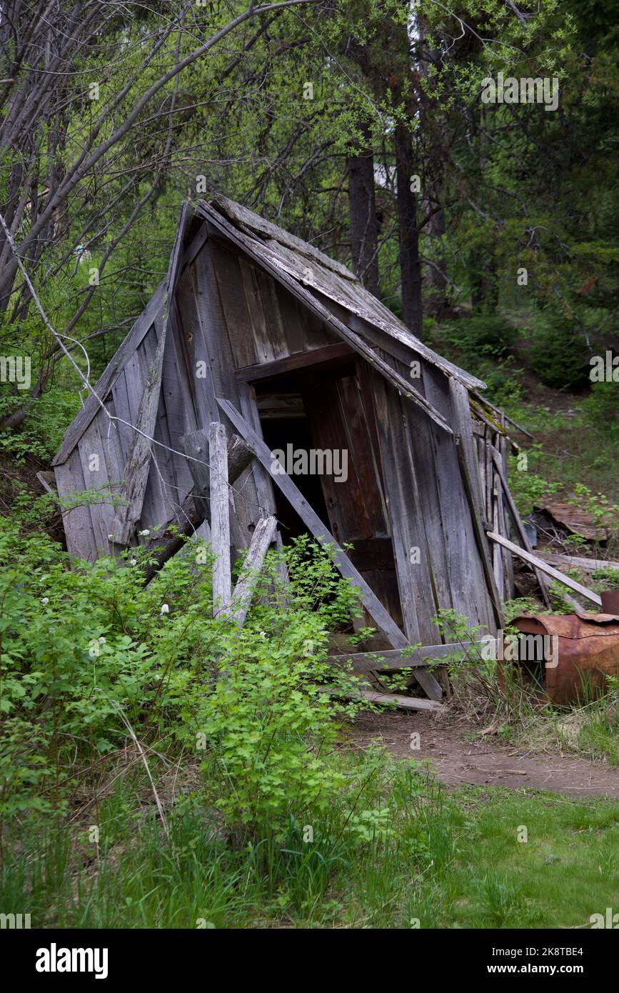 A vertical shot of a ruined wooden hut in the woods Stock Photo - Alamy