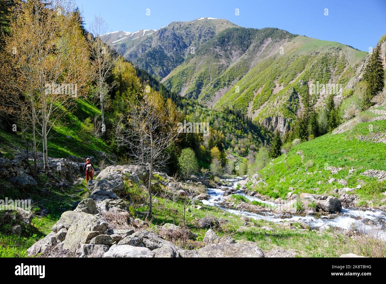 Mikelis koyu hi-res stock photography and images - Alamy