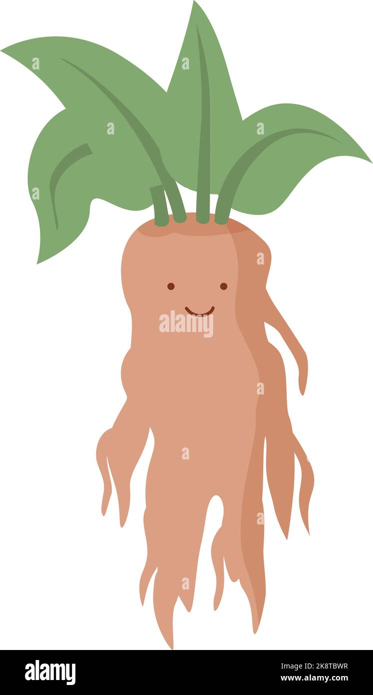 Poison mandrake icon cartoon vector. Mandragora leaf. Plant magic Stock ...