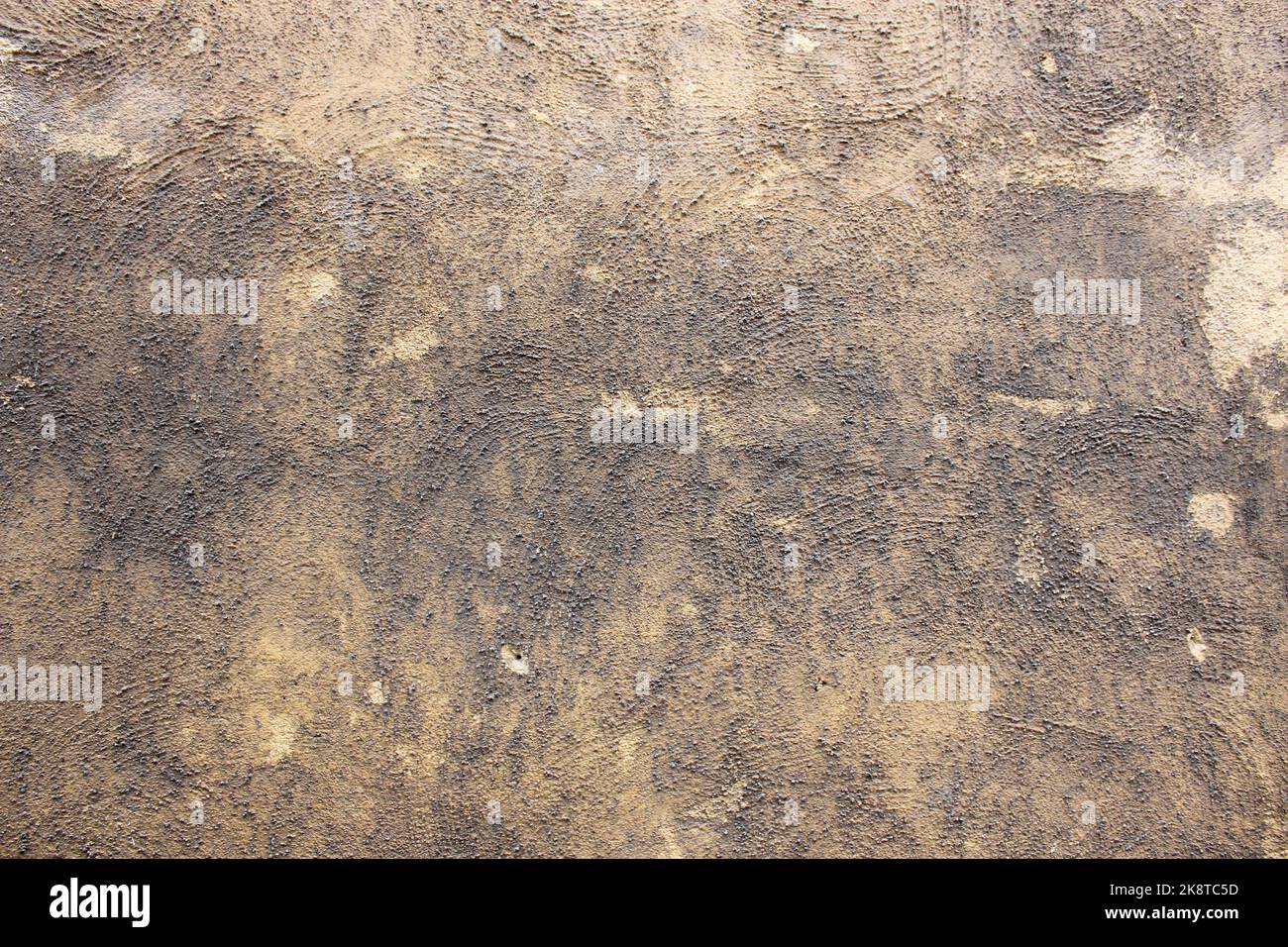 Structural rough plaster on wall. Texture, pattern, background. Copy ...
