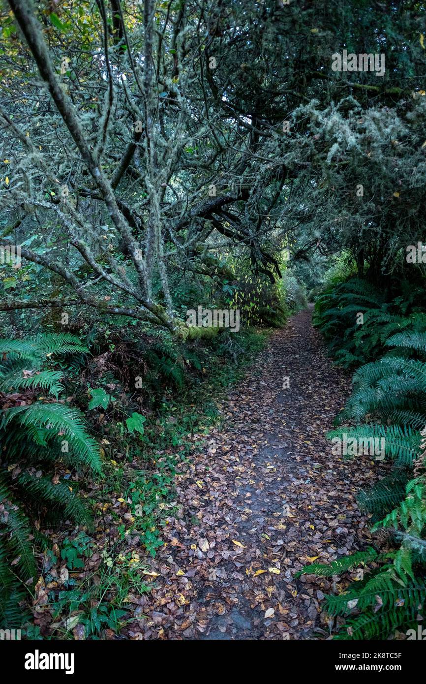Scenery along Ebey's Trail, Admiralty Inlet Preserve, Whidbey Island ...