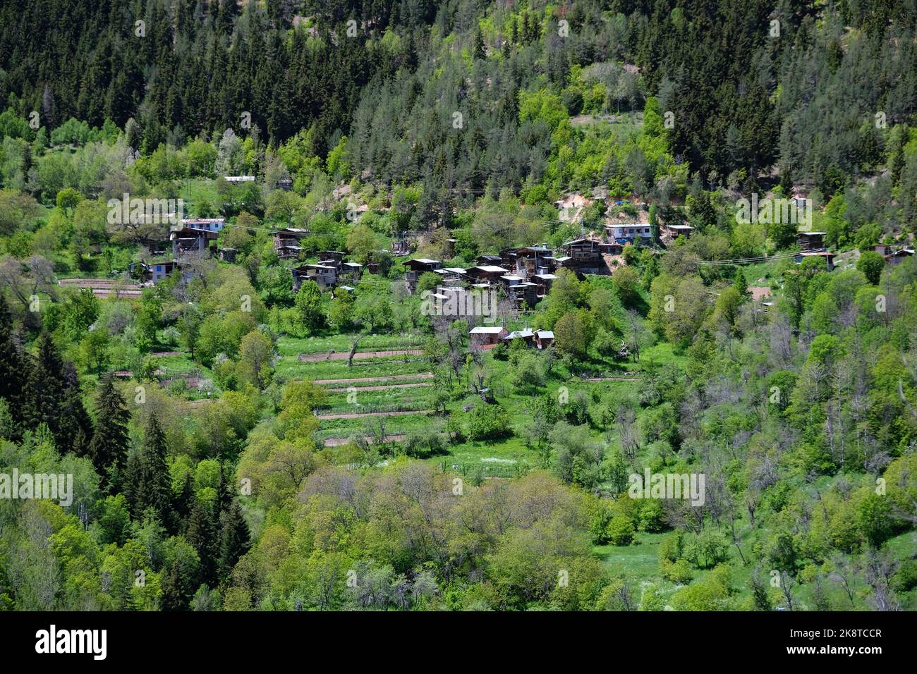 Artvin Province Yusufeli District Barhal (Altiparmak Village Stock ...