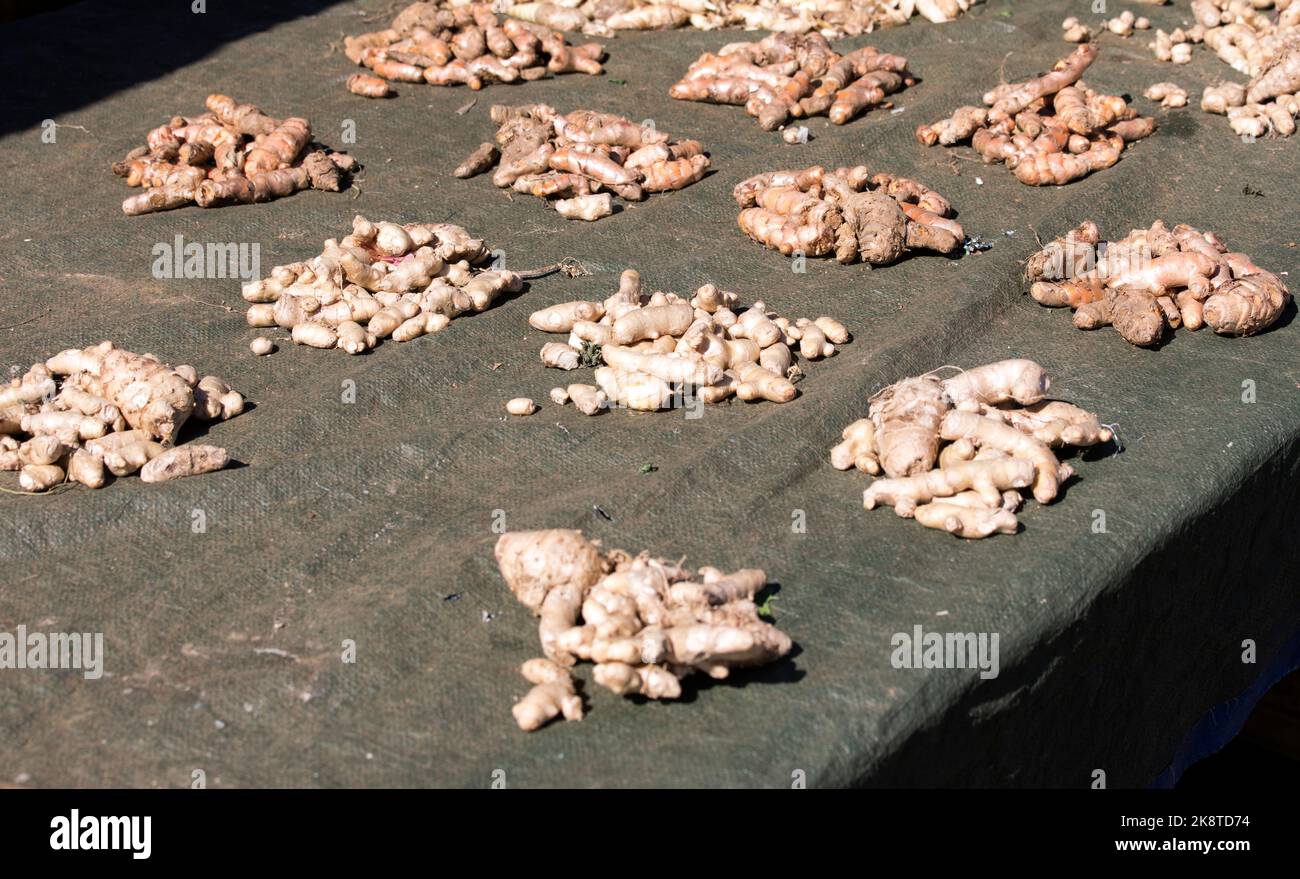 View of ginger sold at market in La Reunion Stock Photo - Alamy