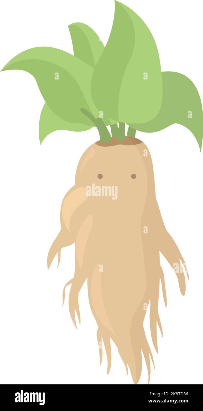 Witchcraft mandrake icon cartoon vector. Halloween plant. Plant poison ...