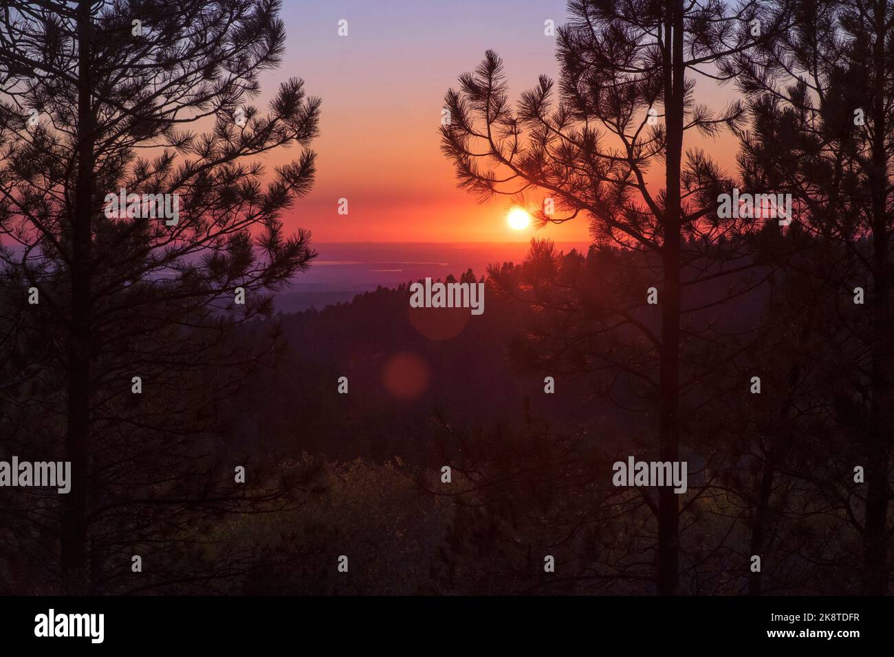 Black Hills sunset, forest in the fall, Bear Lodge Mountain, Wyoming ...