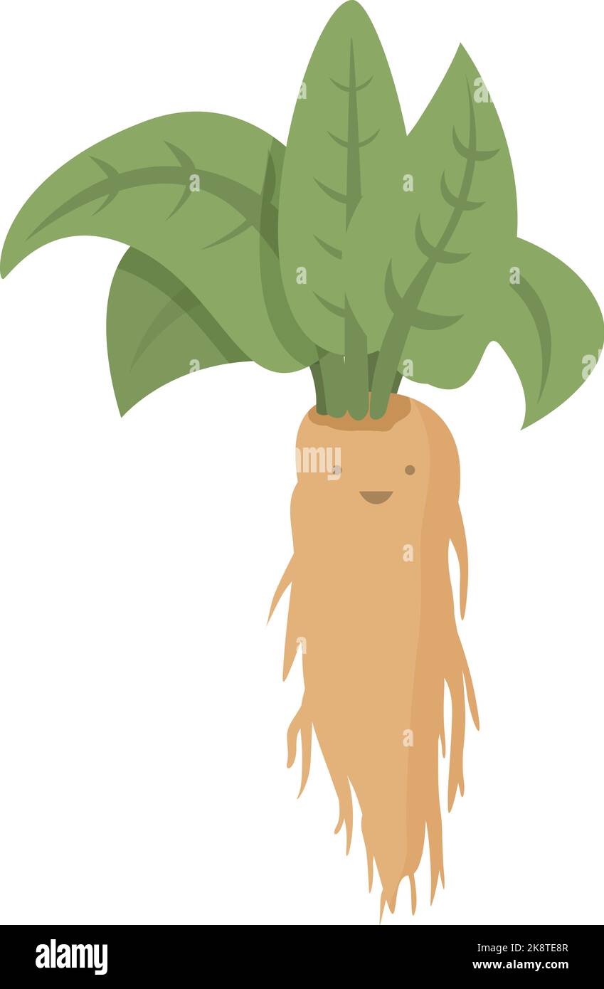 Cinema mandrake icon cartoon vector. Botany mandragora. Herb plant ...