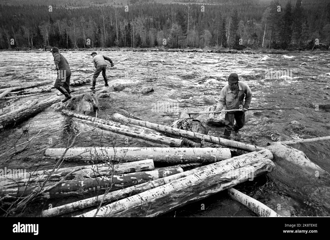 Trysil / Engerdal 197206. Timber flight in the Trysilelva. Floters ...
