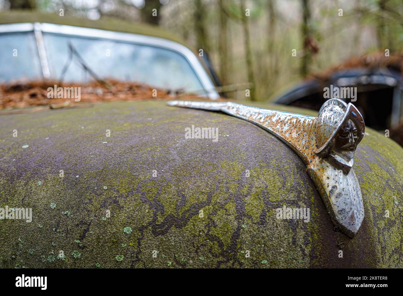 The dirty rusty Desoto emblem on the front of an abandoned old car ...