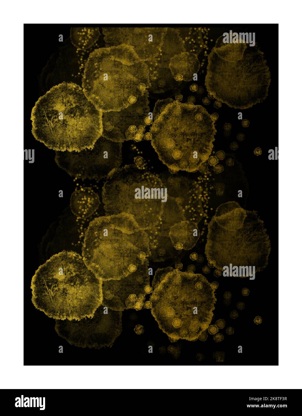 Graphic wall art Cut Out Stock Images & Pictures - Alamy