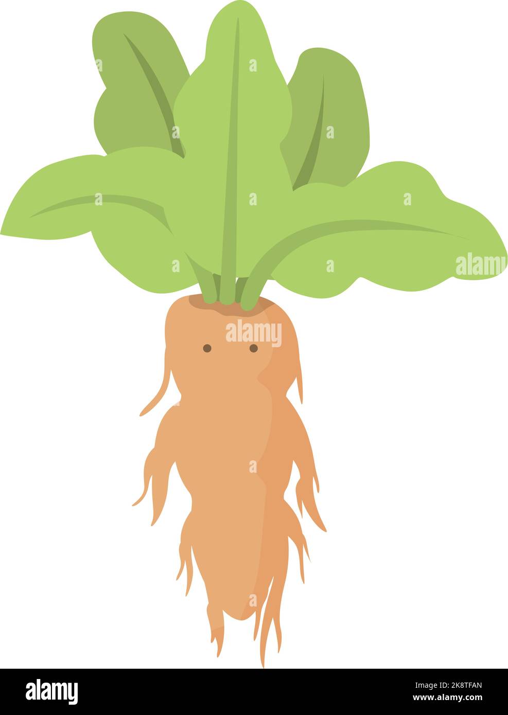Art mandrake icon cartoon vector. Magic mandragora. Plant poison Stock ...