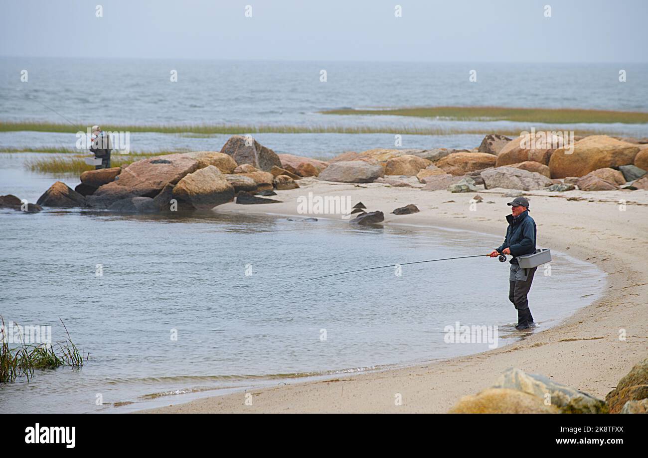 Fishing on a foggy day along Paines Creek in Brewster, Massachusetts on ...