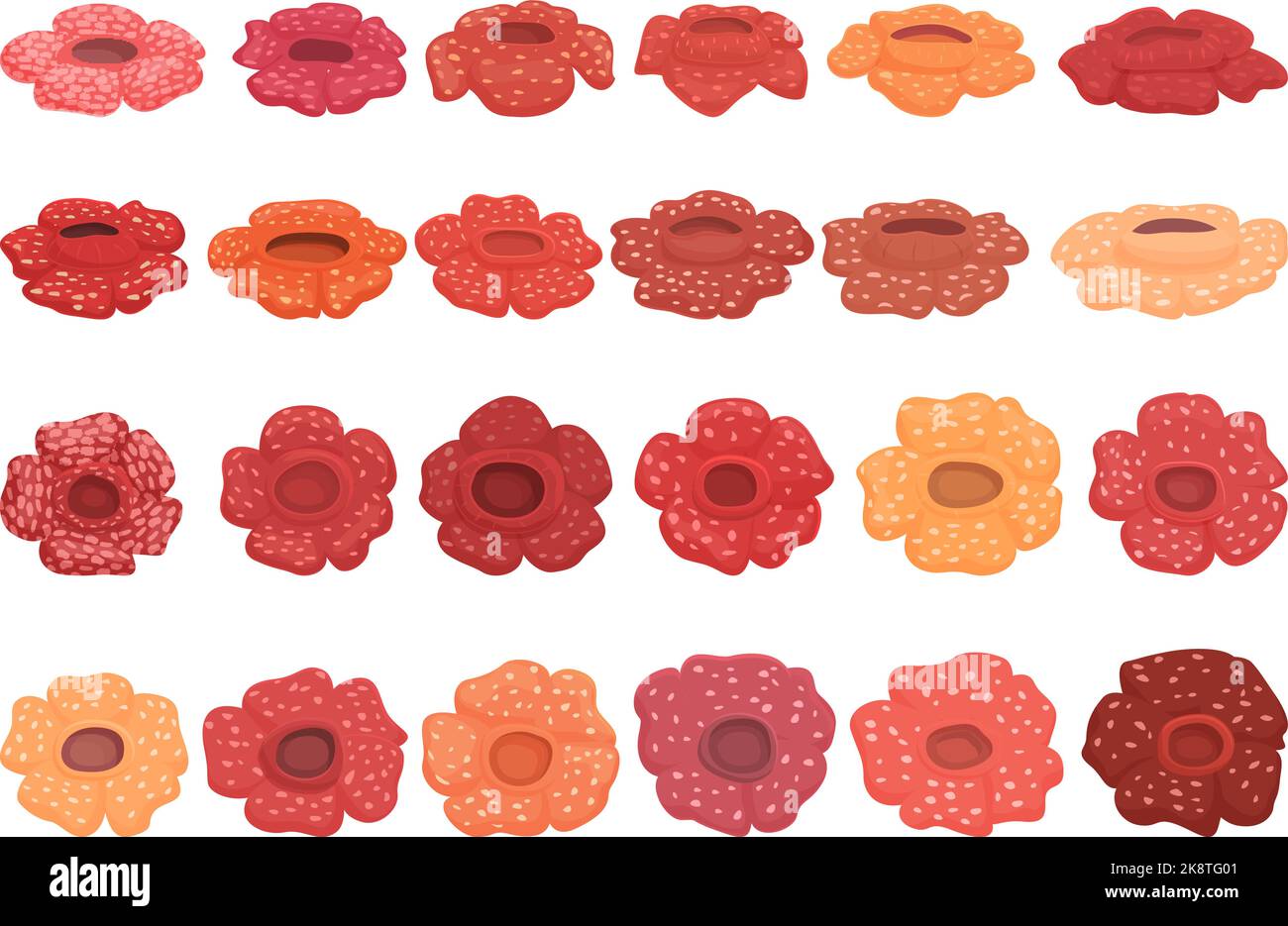 Rafflesia icons set cartoon vector. Flower bloom. Asian beauty Stock ...