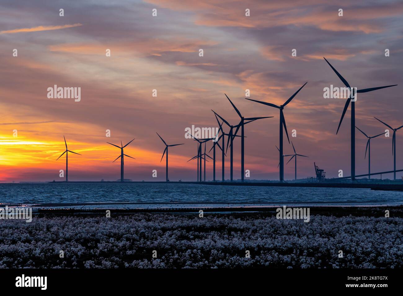 Onshore wind farm hi-res stock photography and images - Alamy