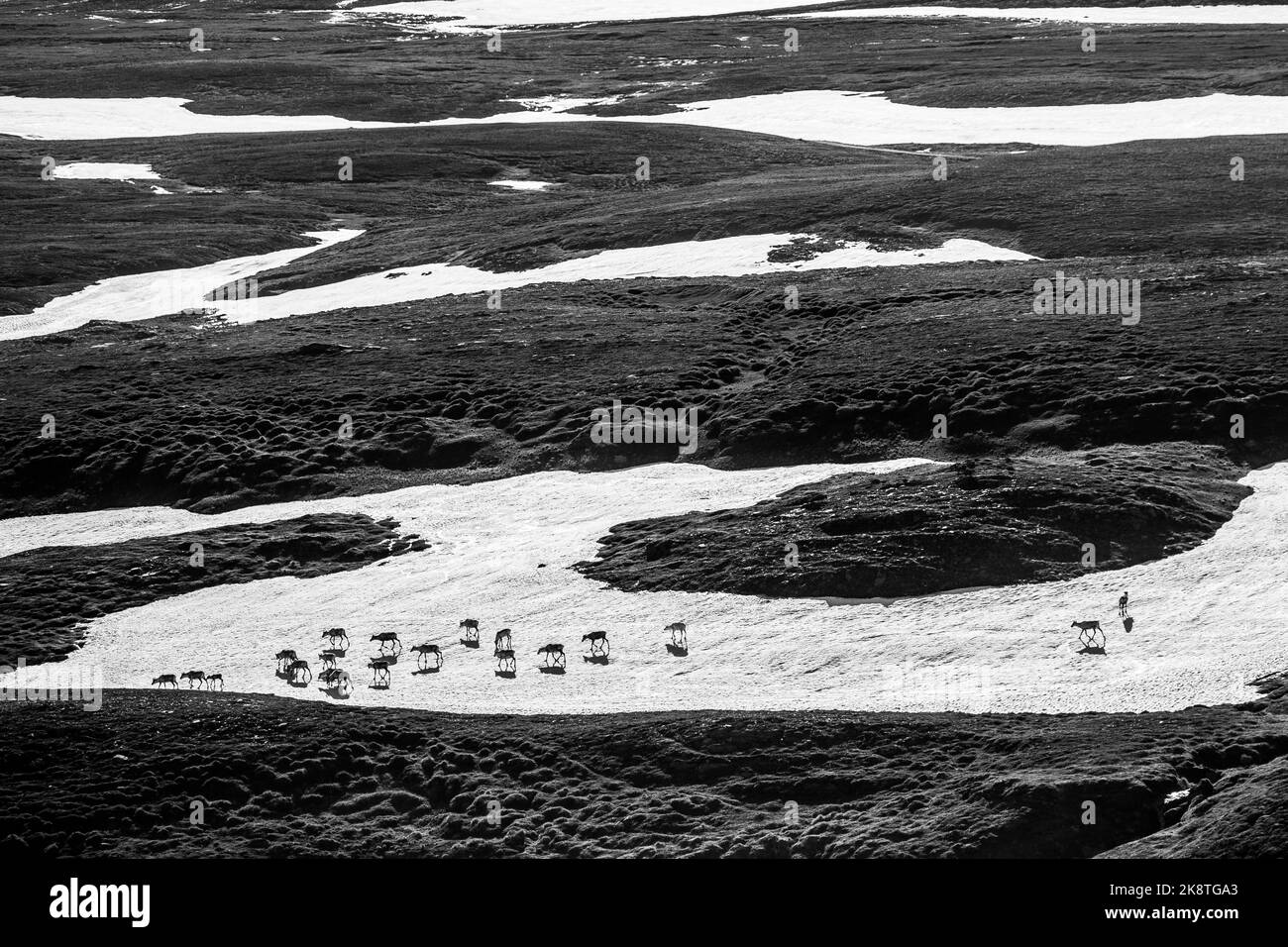 A high-angle grayscale shot of the landscape with melting snow Stock ...