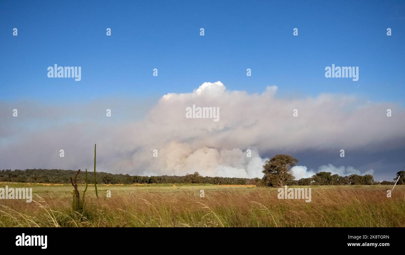 A bushfire in Australia with a huge smoke Stock Photo - Alamy