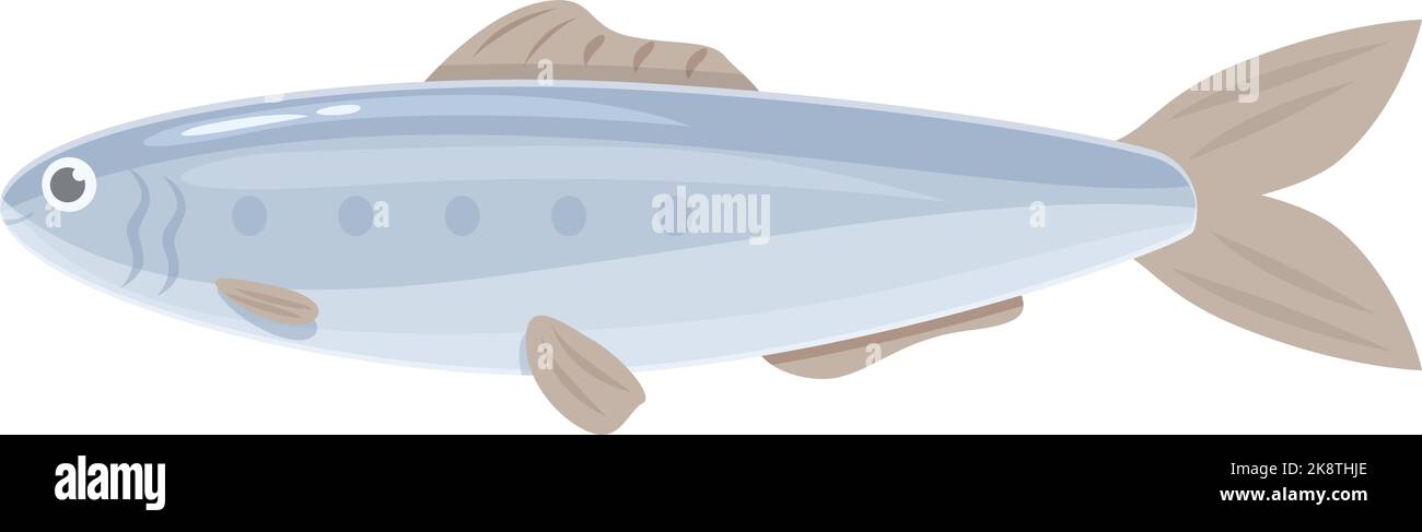 Pilchard sardine icon cartoon vector. Ocean seafood. Sea animal Stock ...