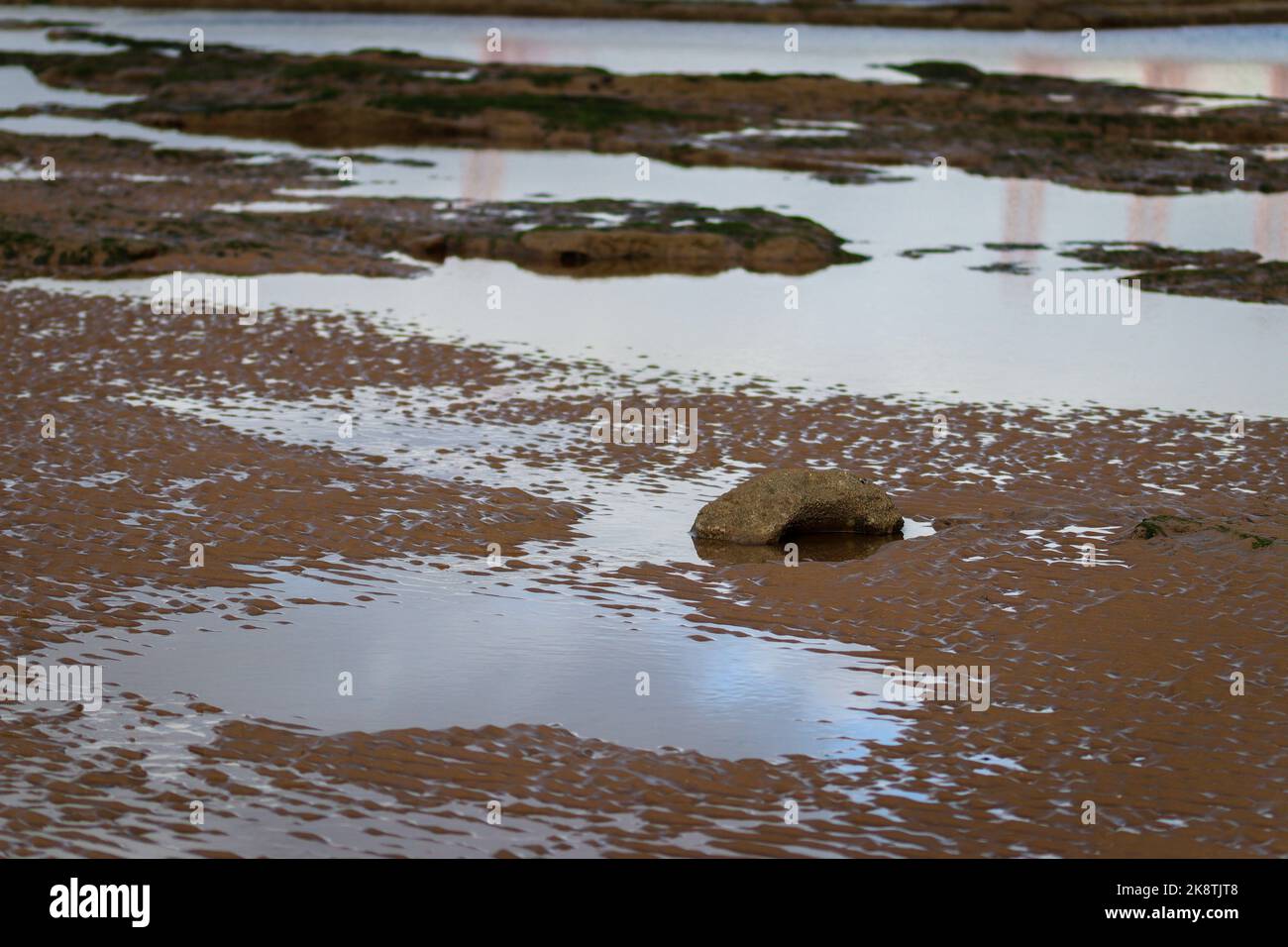 Water and sandy hi-res stock photography and images - Alamy