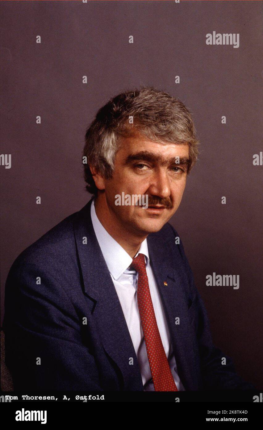 Tom Thoresen, Østfold, the Labor Party, the period 1989/1993. Photo ...