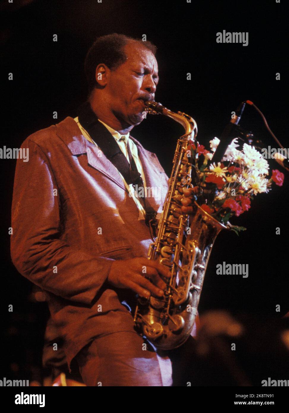 1987 ornette coleman in action under molde jazz photo hi-res stock ...