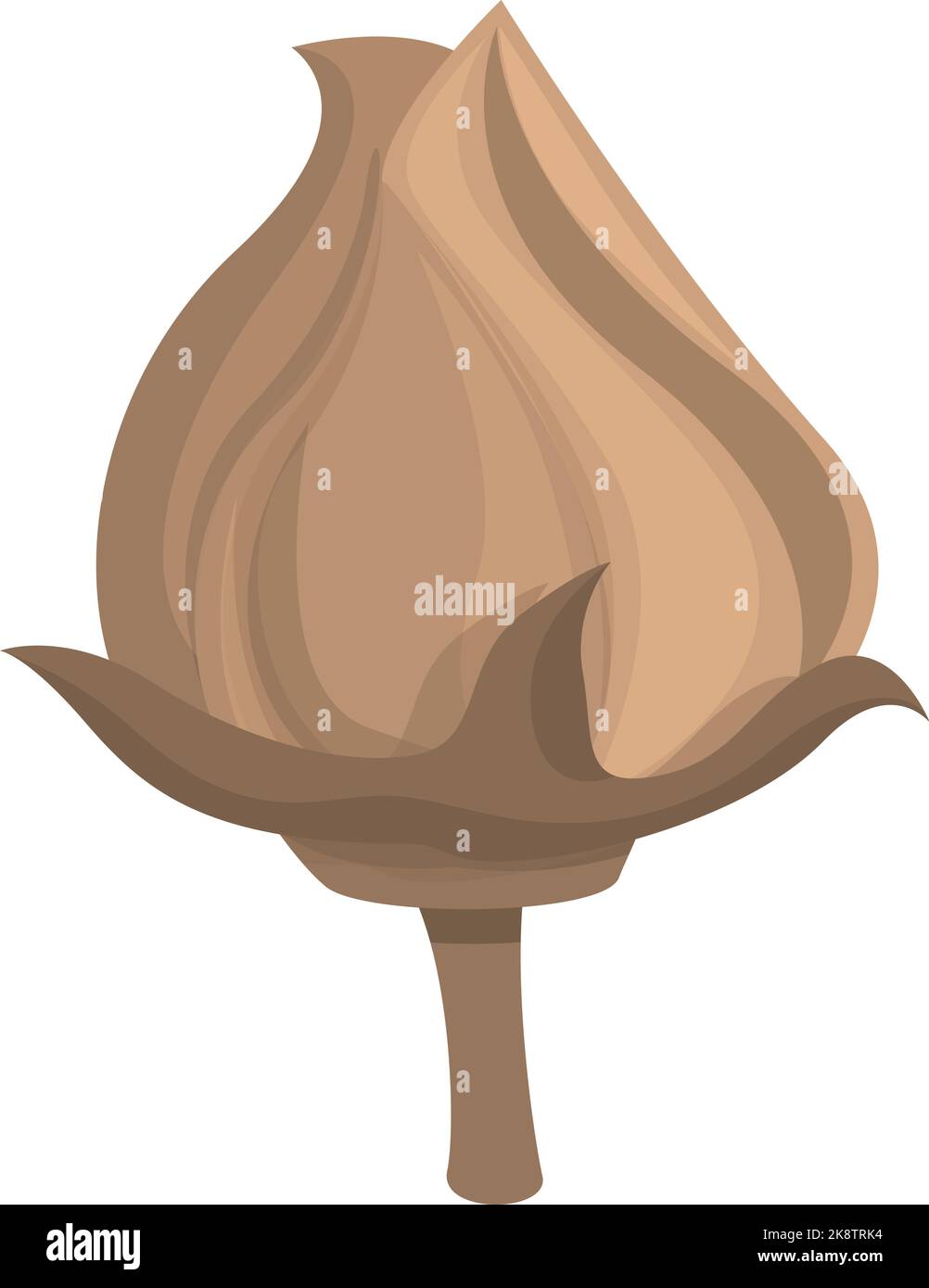 Cotton plant icon cartoon vector. Organic fiber. Natural textile Stock ...