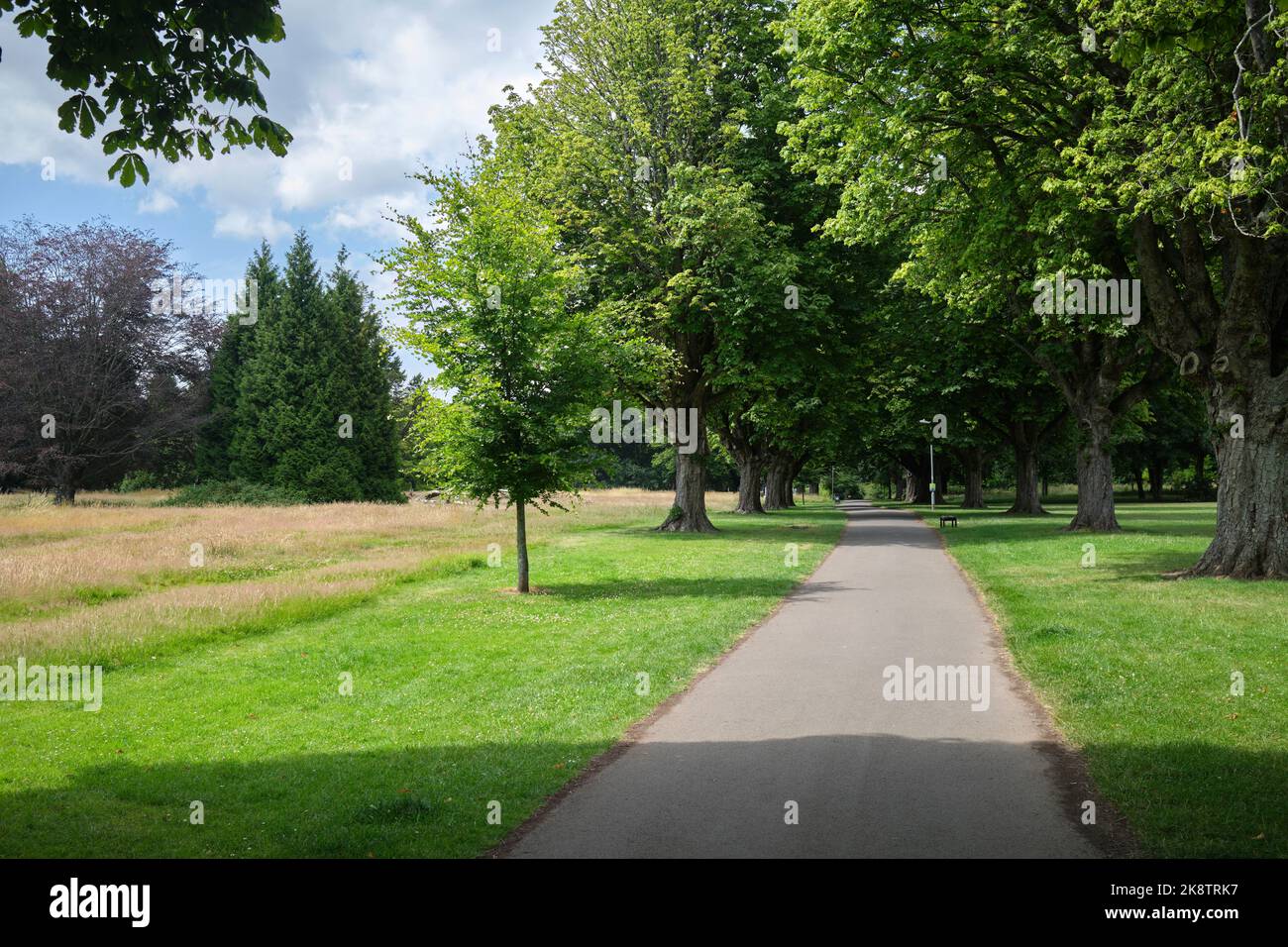 Cardiff green spaces hi-res stock photography and images - Alamy