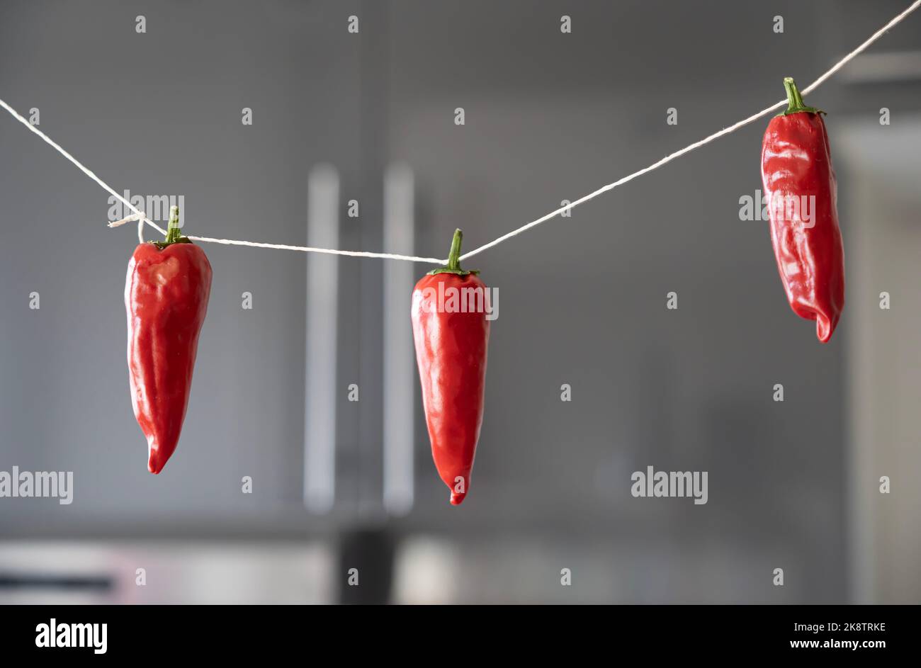 Three red Espelette peppers drying on a rope Stock Photo - Alamy