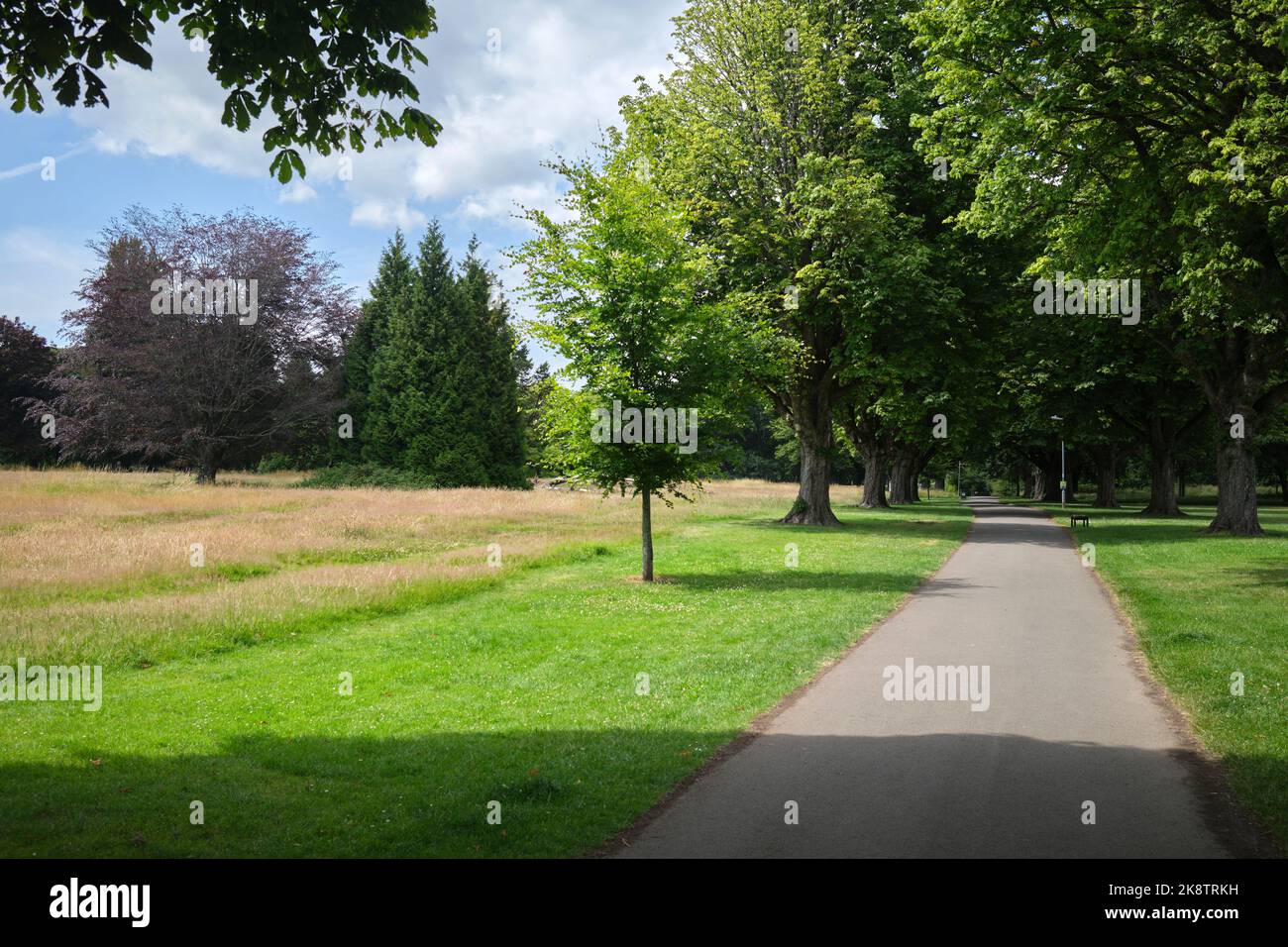 Cardiff green spaces hi-res stock photography and images - Alamy