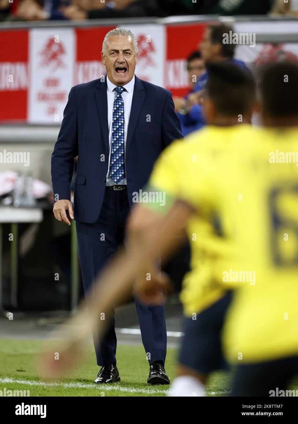 DUSSELDORF - Ecuador coach Gustavo Alfaro during the international ...