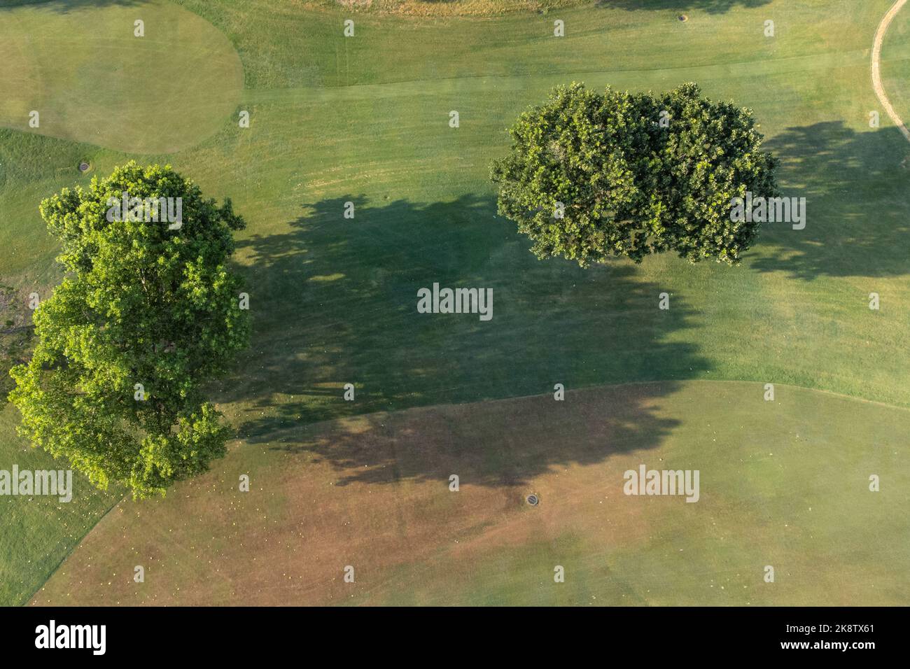 Top aerial view of beautiful park, green zone. Birds eye and drone ...
