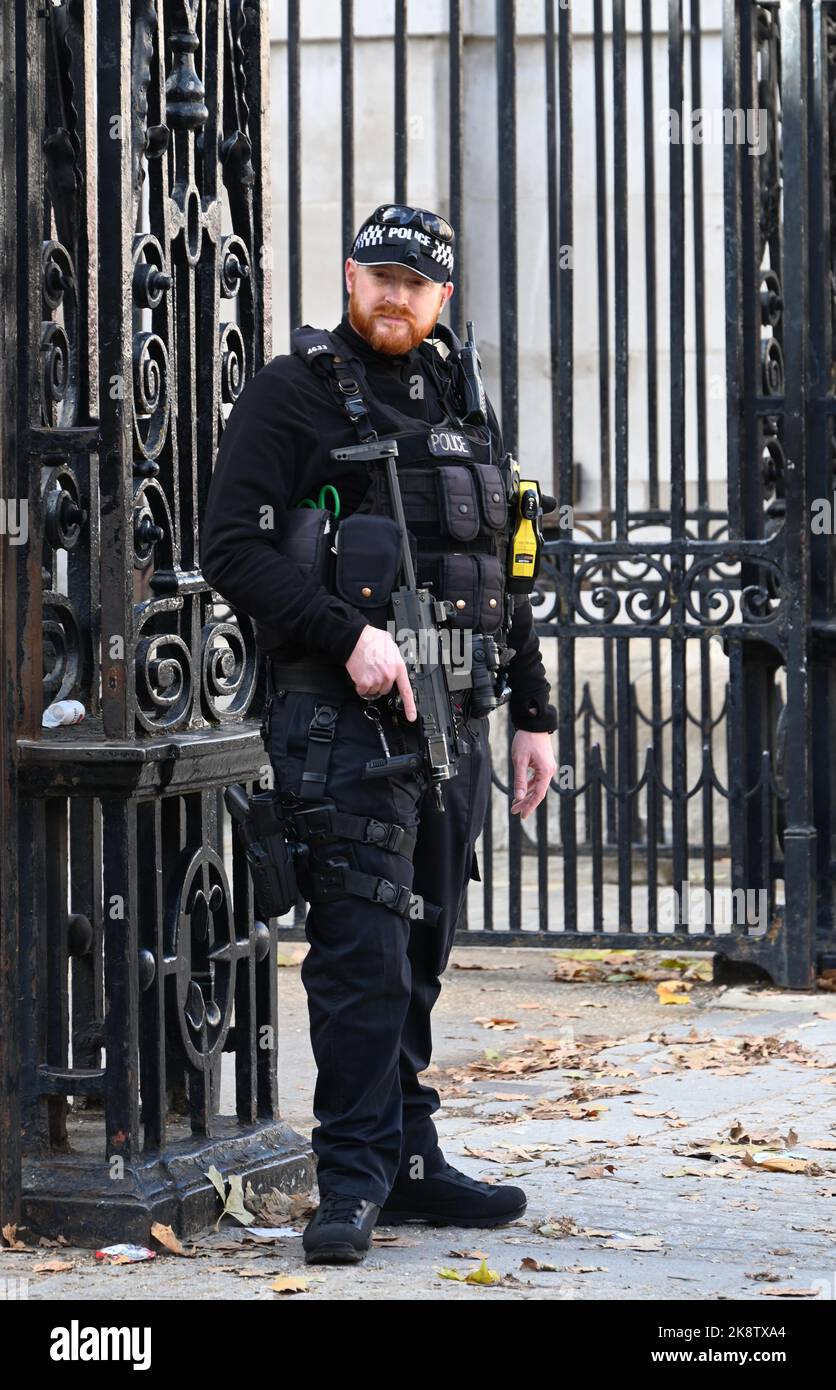 Armed Police Officer, Horse Guards Parade, London. UK Stock Photo - Alamy
