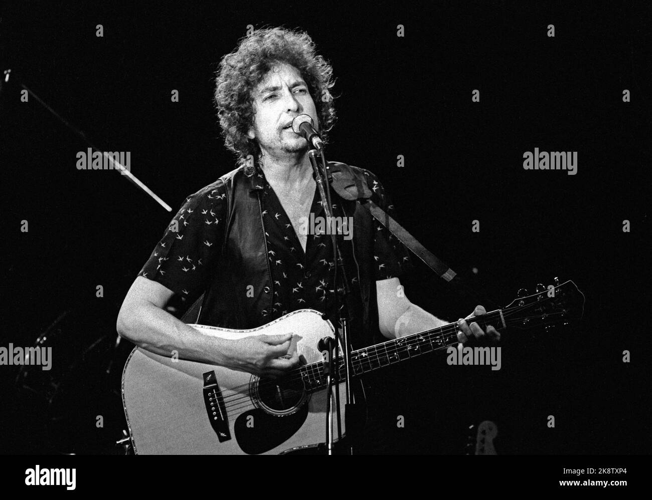 Drammen 19810710 Artist Bob Dylan holds a concert in Drammenshallen ...