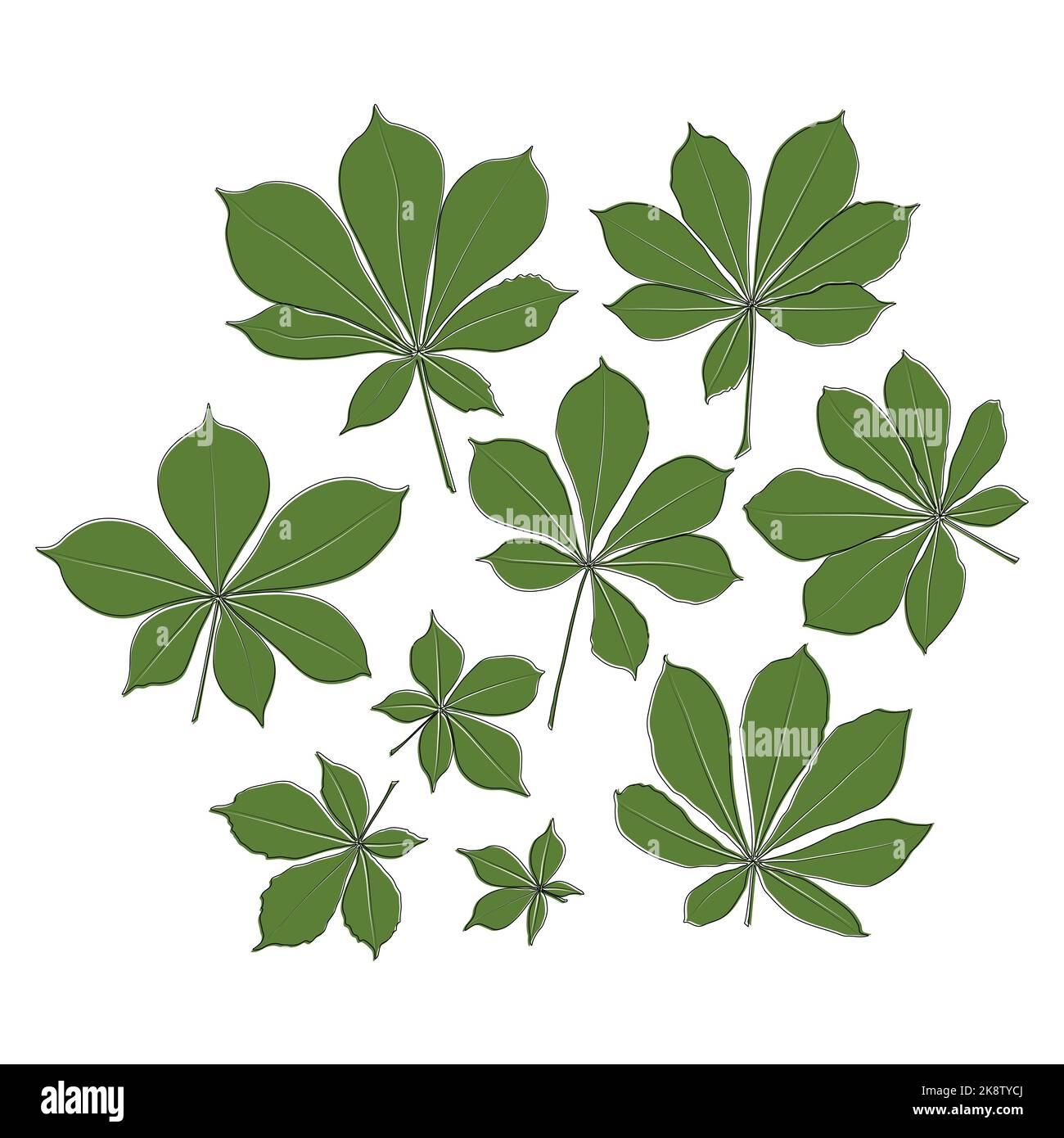 Set of vector chestnut leaf outline and coloured icon. Simple chestnut ...