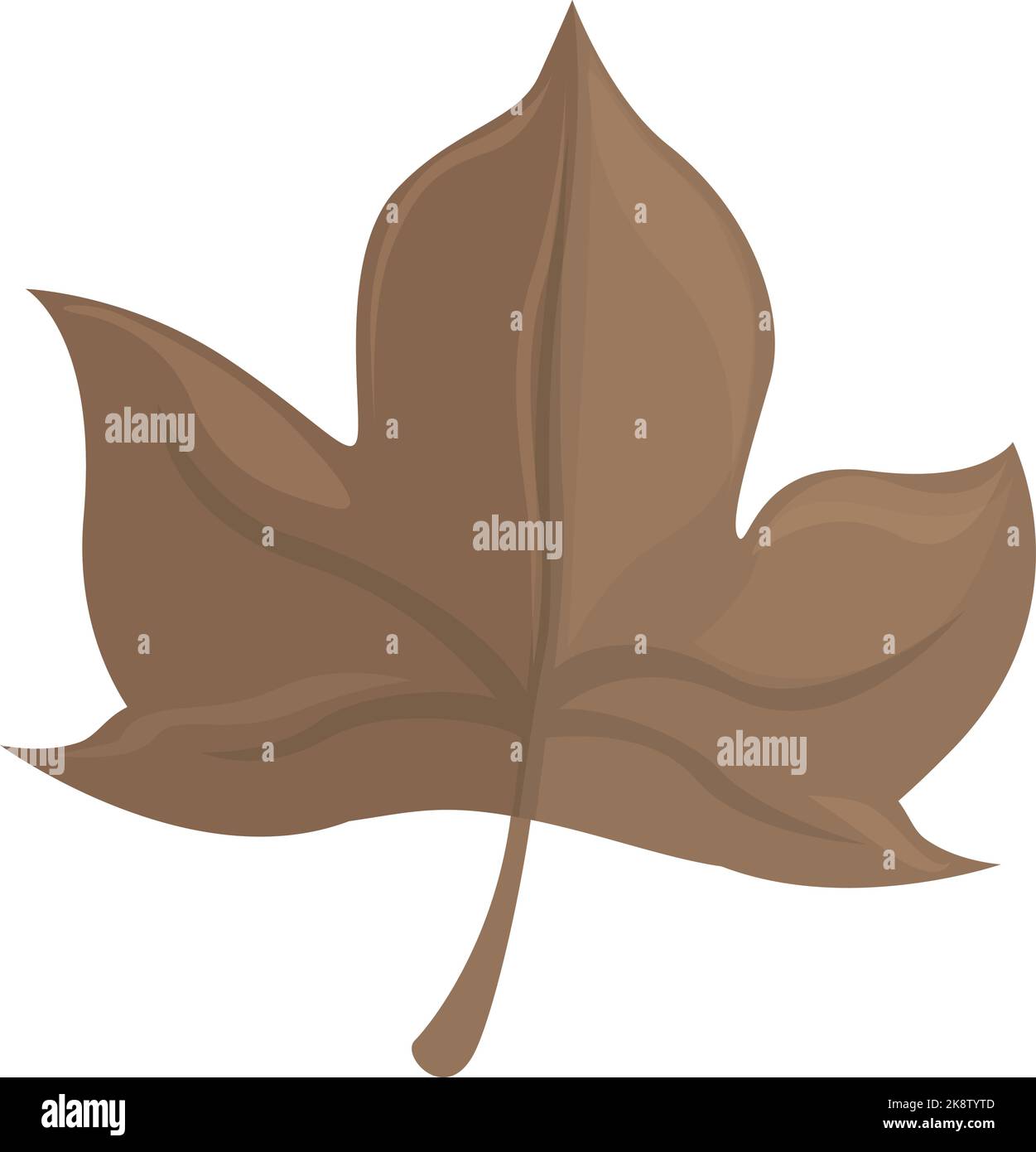 Cotton leaf icon cartoon vector. Soft plant. Fabric textile Stock ...