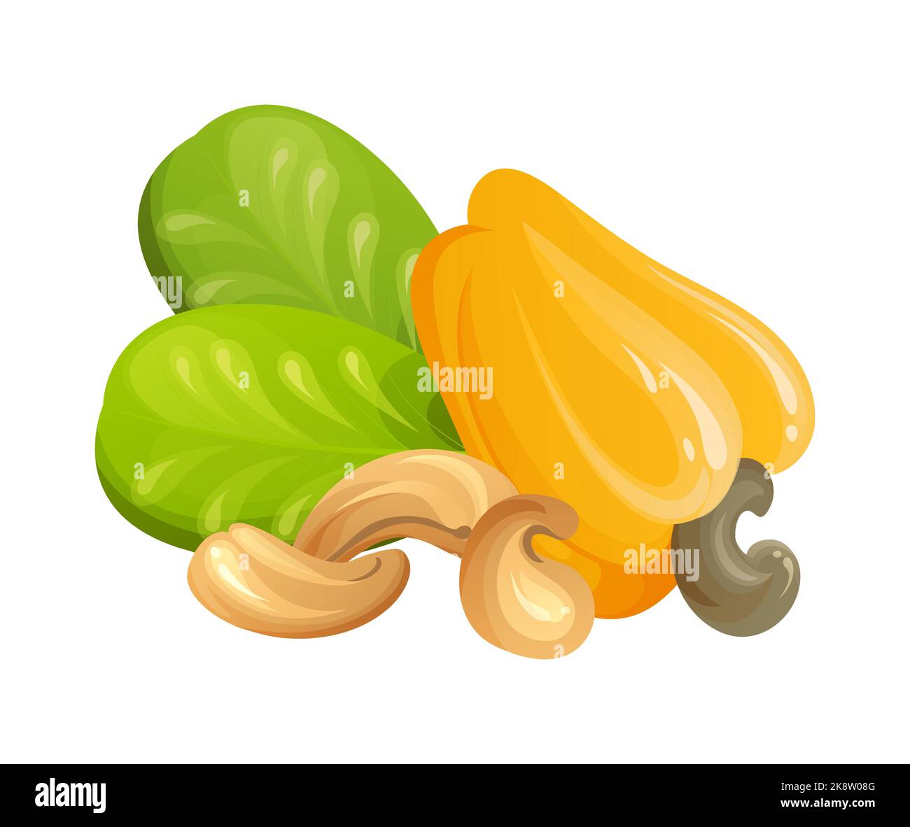 Red cashew nut. Unripe and ripe exotic yellow fruit with green leaves ...