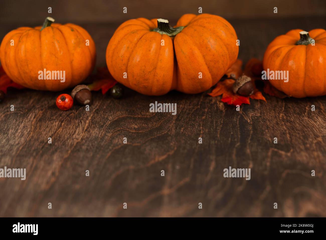 A row of miniature orange pumpkins on a rustic wood surface with a ...