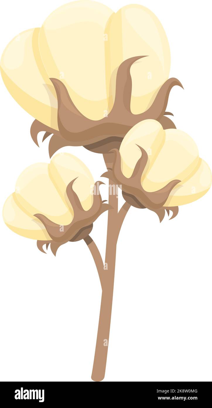 Soft cotton icon cartoon vector. Organic flower. Plant fiber Stock ...