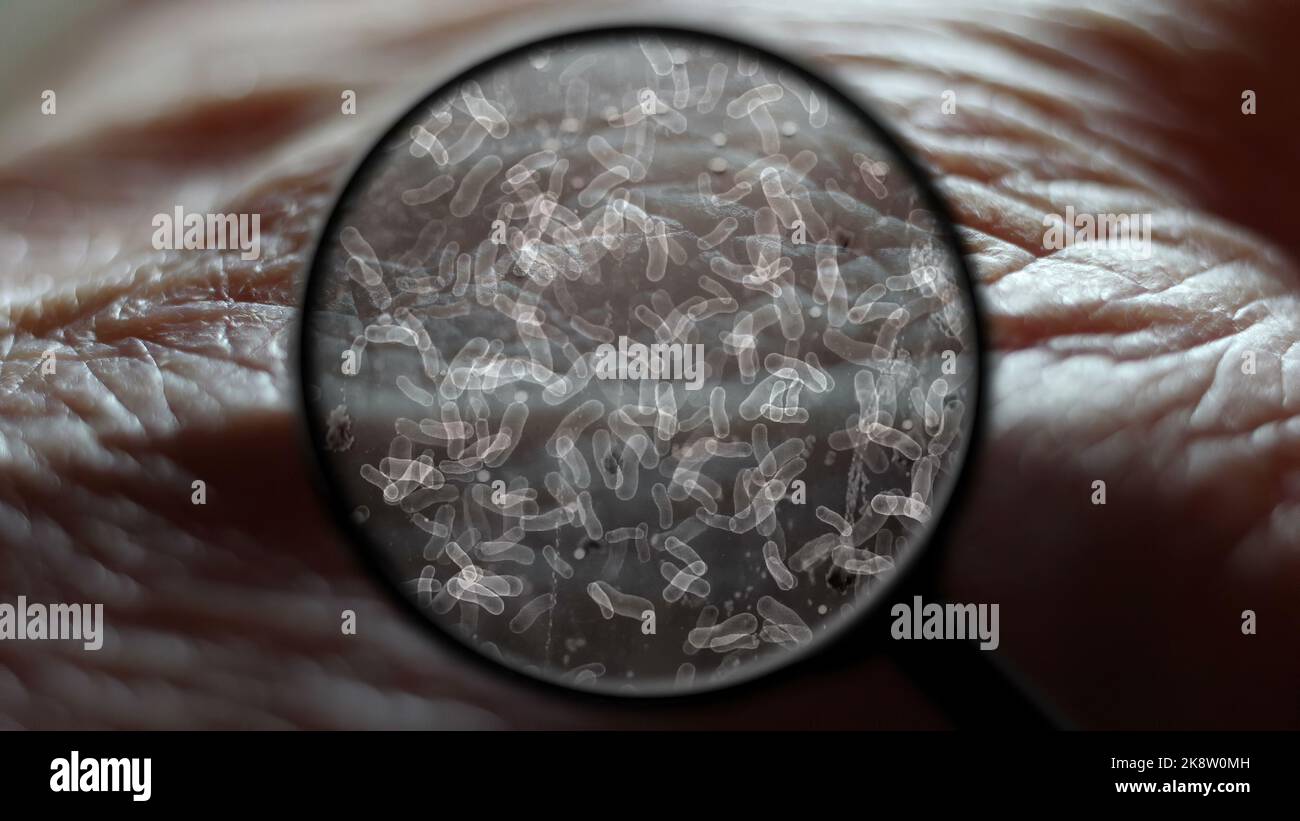 Searching for bacteria on human skin Stock Photo - Alamy